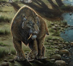 Paintings, Murals and drawings by contemporary paleoartist Jaap Roos