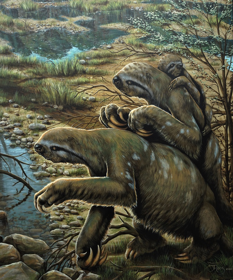 Paintings, Murals and drawings by contemporary paleoartist Jaap Roos