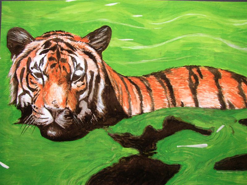 Paintings, Murals and drawings by contemporary paleoartist Jaap Roos