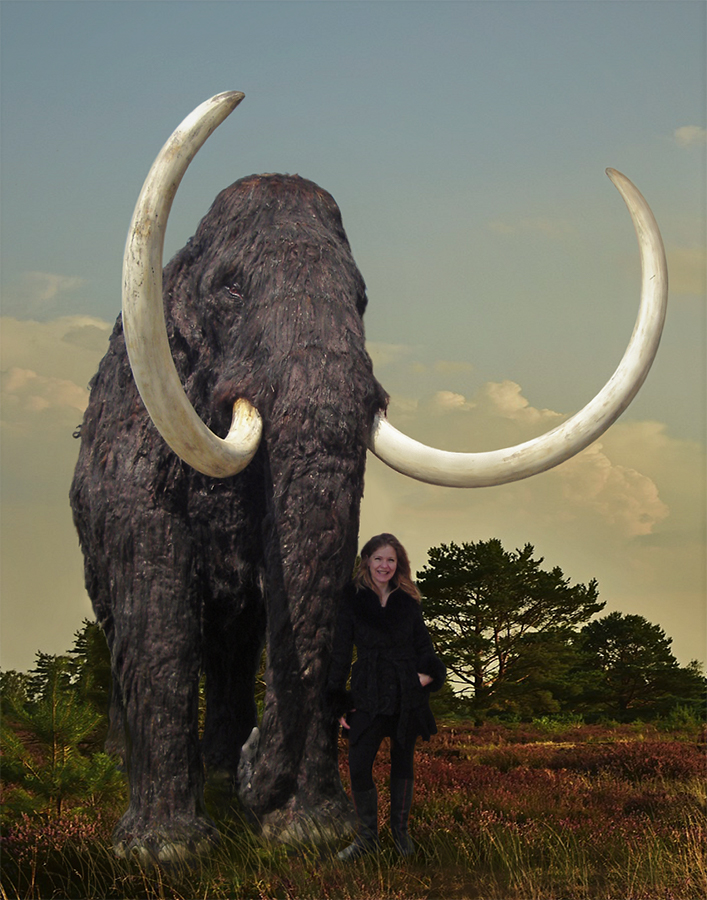 Life-size Woolly mammoth sculpture/ Beeldhouwwerk wolharige mammoet