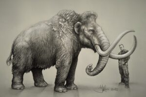 Paintings, Murals and drawings by contemporary paleoartist Jaap Roos